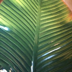 tropical clay | Dining | Newvintage Tropical Clay Hawaiian Leaf Platter | Poshmark